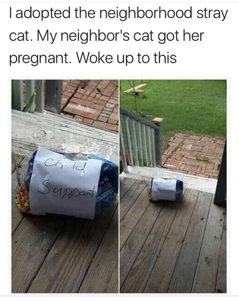 These Funny Neighbors Are All Just Trying To Have Some Fun ...