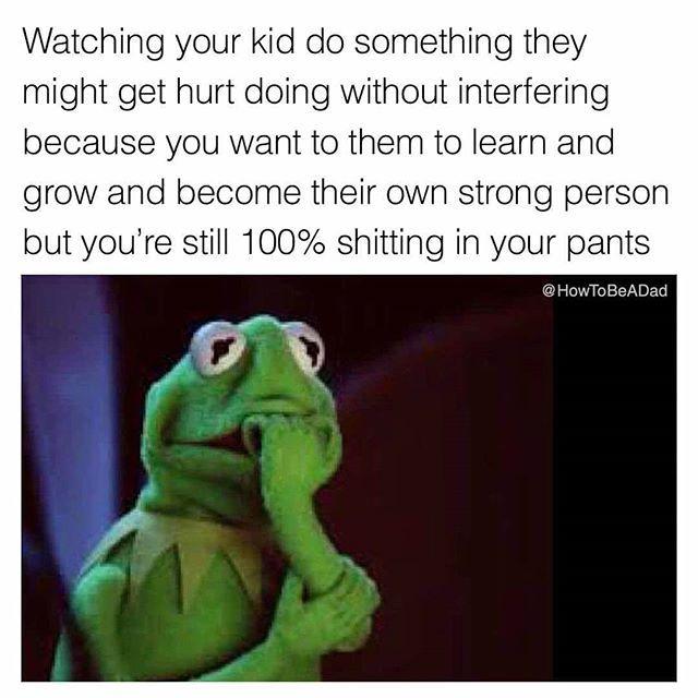 These 40 Toddler Memes Perfectly Capture The Toddler Struggle ...