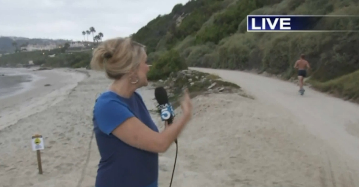 Reporter Spots A Shirtless Hunk On The Beach, But Drops Her Mic When He ...
