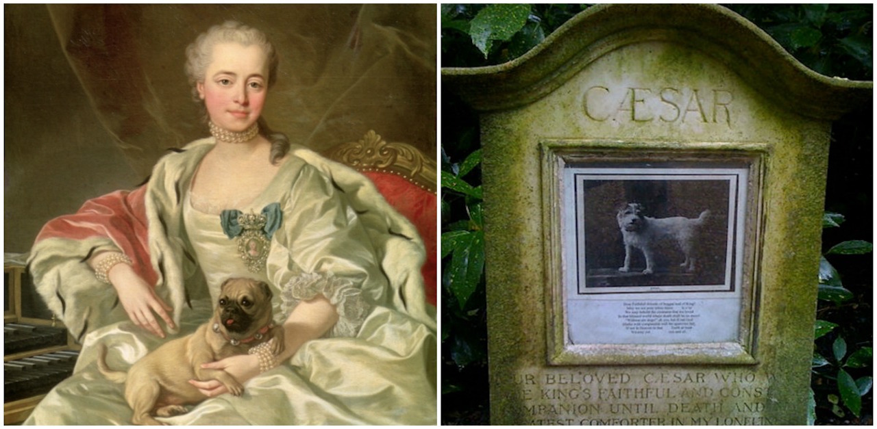 10 Famous Royal Dogs Throughout History | LittleThings.com