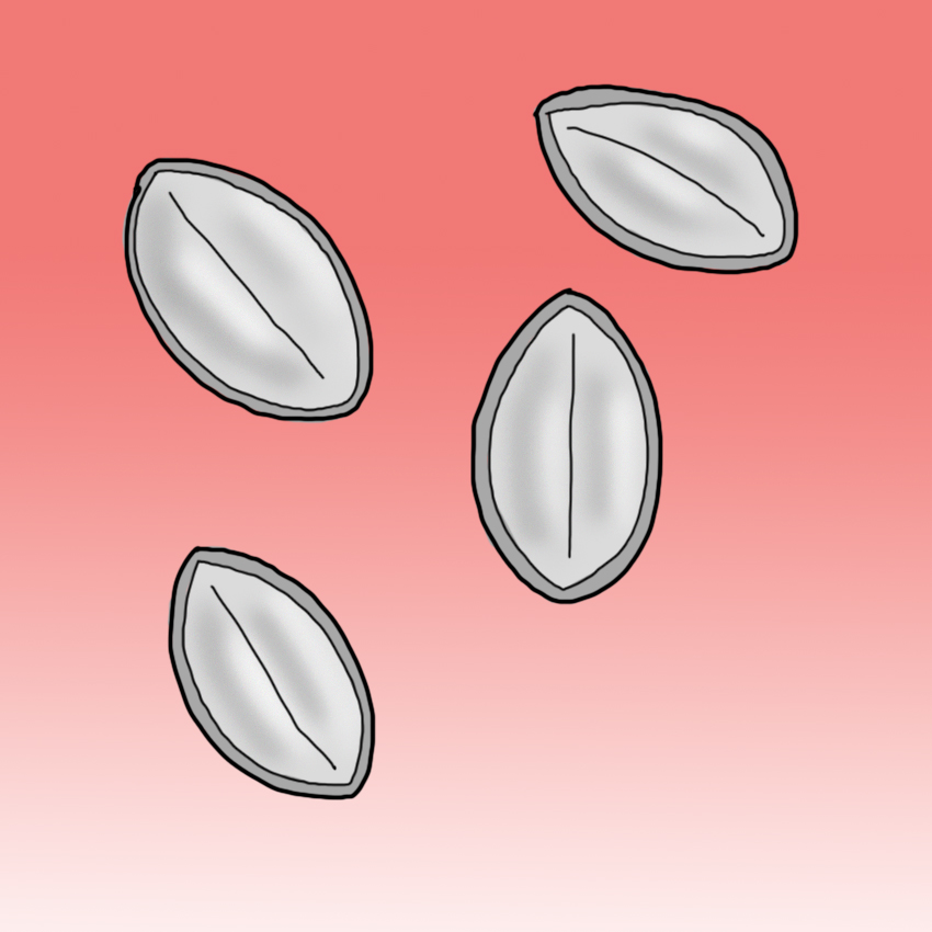 9 Parasites That Could Be Inside Your Right Now | LittleThings.com