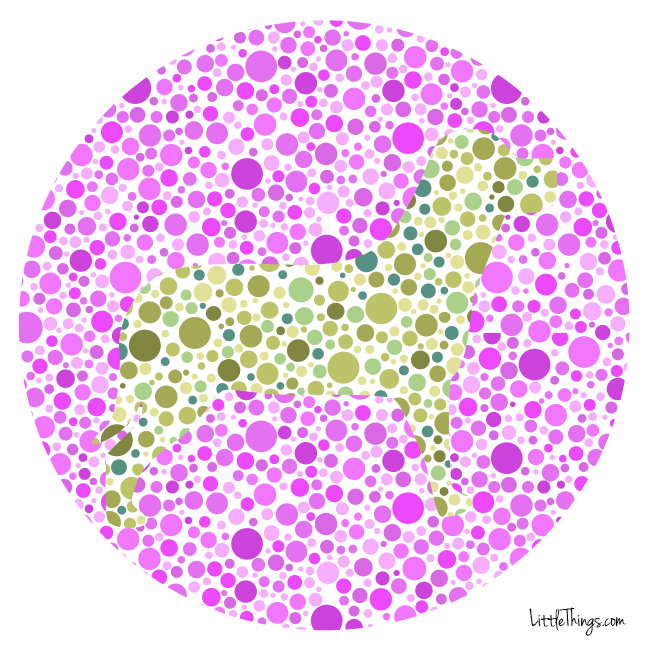1 In 12 Men And 1 In 200 Women Can't See Color. Could YOU Be One Of ...