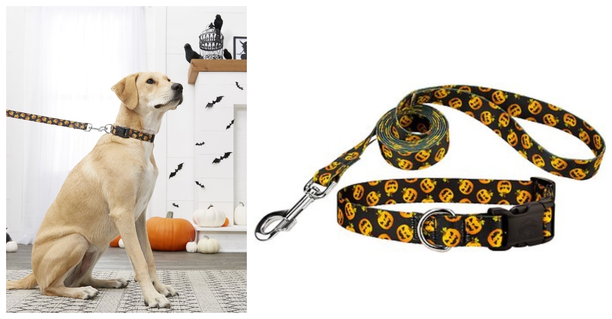 Fall-Themed Collars And Leashes For Costume-Fearing Dogs | LittleThings.com