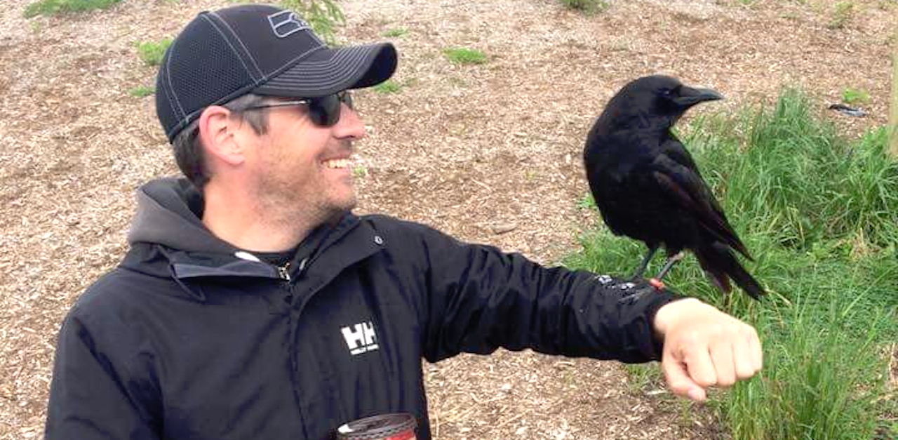 A Wild Crow Rides Around On His Arm. The Reason? This Is Too Adorable ...