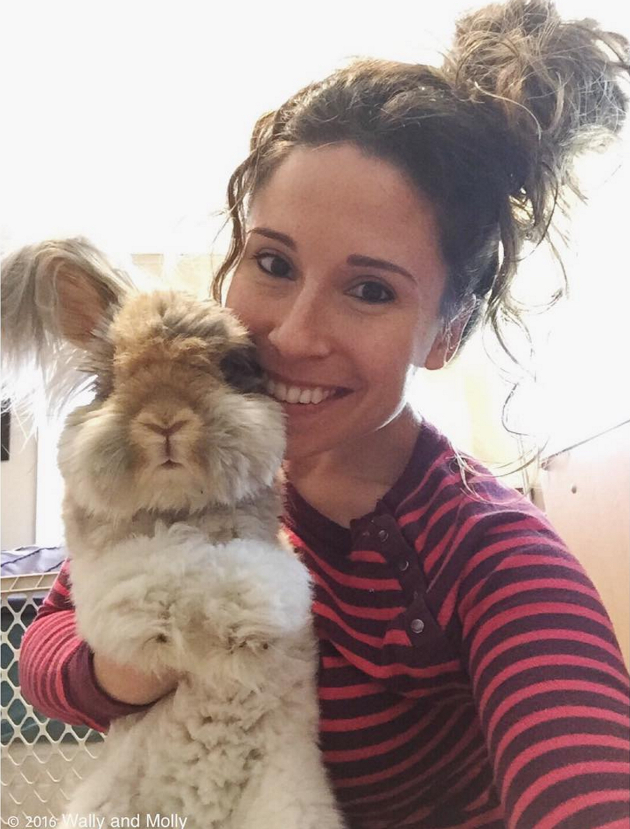 No One Wanted This Strange Bunny. Then Who Walks In The Door? BEAUTIFUL ...