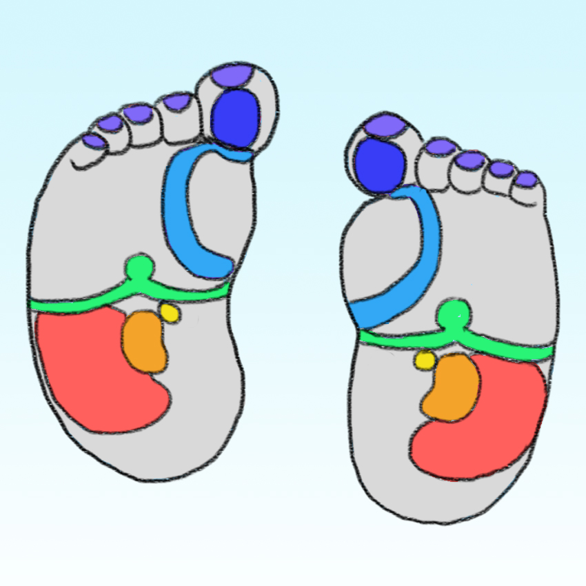 Baby Foot Reflexology: A Simple Guide To Pressure Points | LittleThings.com