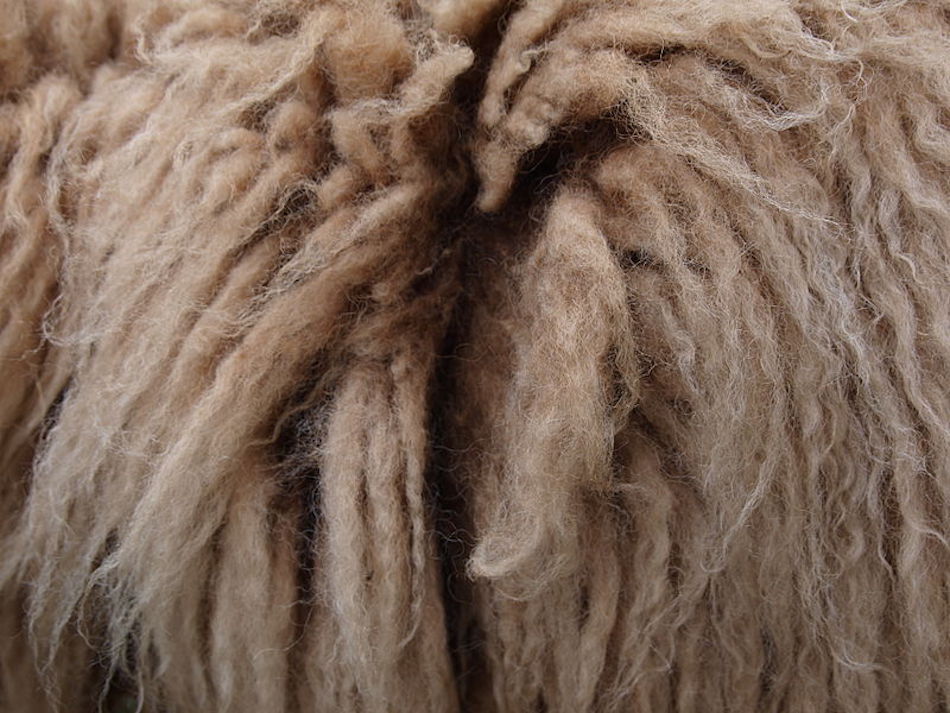 11 Things Used As Diapers Throughout History | LittleThings.com