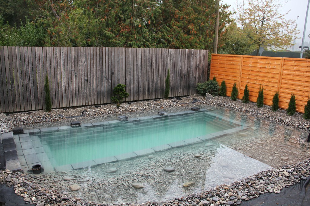 Ordinary-Looking Pool Overflows To Become A Stunning, All-Natural Pond ...