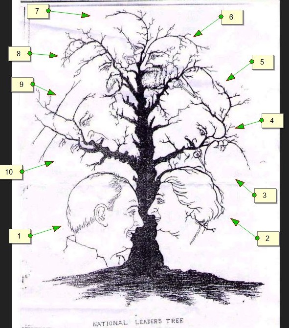 No One Can Count The Number Of Faces In The Tree… How Many Do You See ...