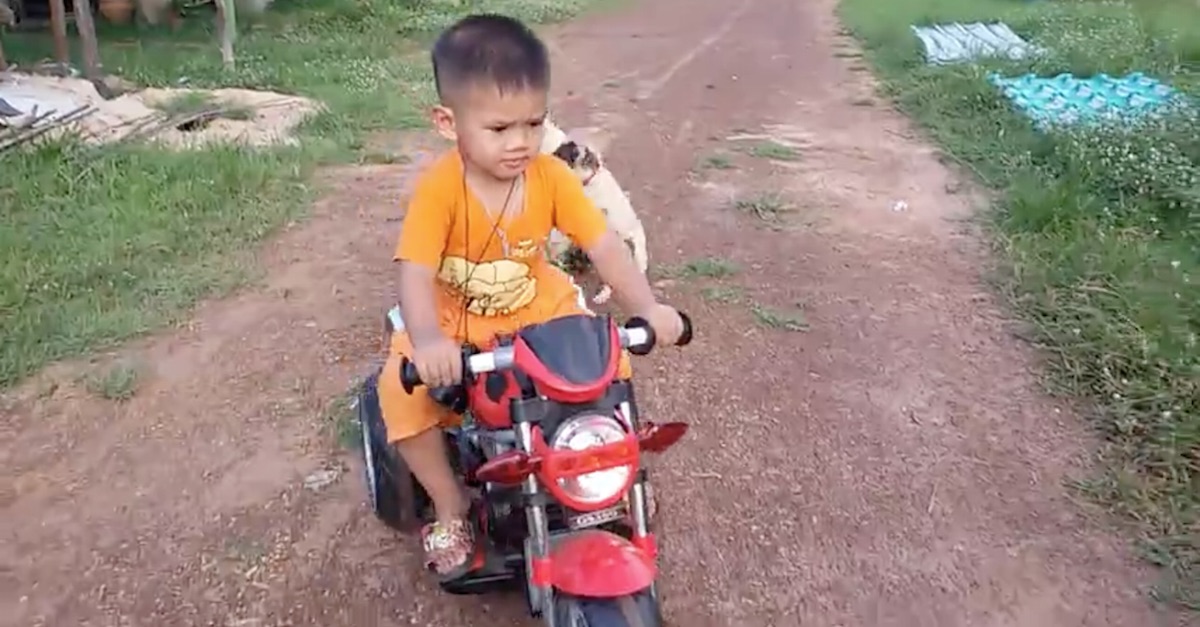 Little Boy Scoots Along On His Tiny Motorcycle. Wait Til You See Who's ...