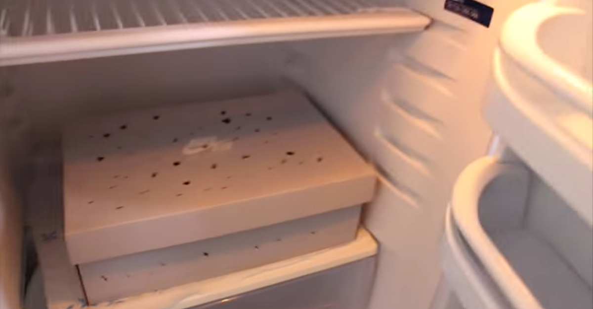 He Takes A Shoebox Out Of His Mini Fridge. What's Inside? I Did NOT ...