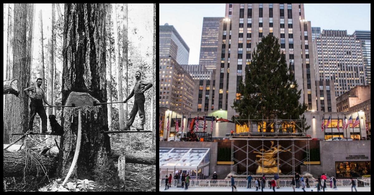 9 Rockefeller Center Christmas Tree Facts You Didn't Know ...