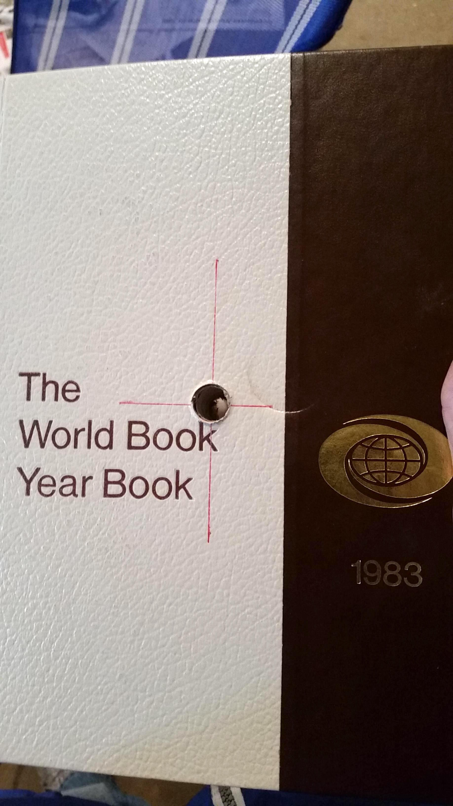 Instead Of Tossing His Old Encyclopedias, He Transforms Them Into THIS ...