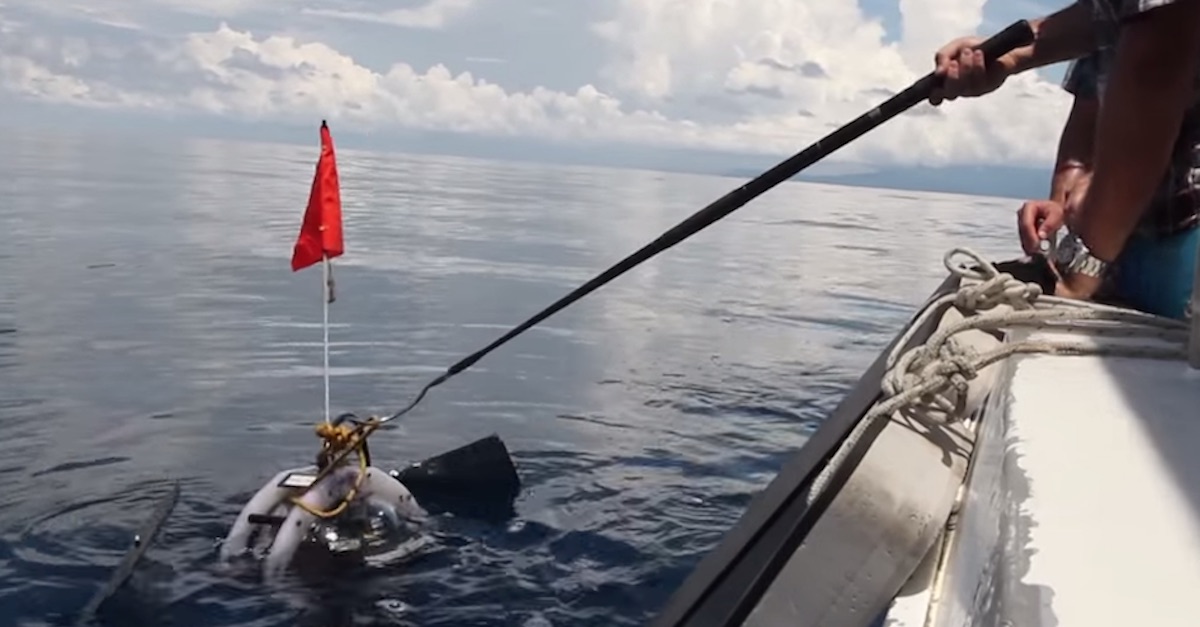 Scientists Sent A Camera Into An Underwater Volcano. What They ...