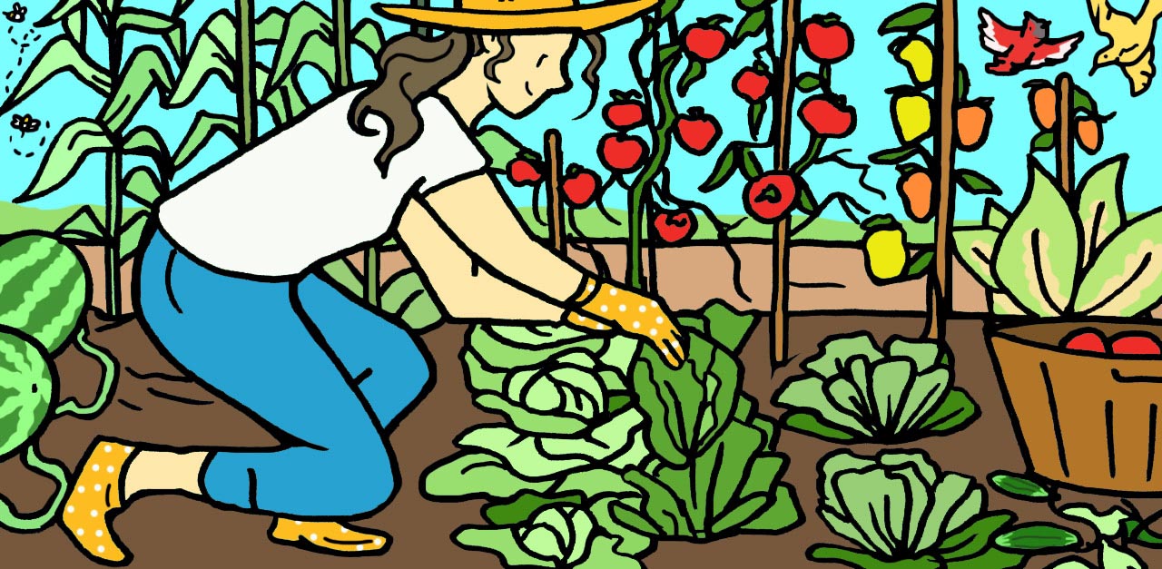 Companion Planting Guide: 9 Plants To Grow Together | LittleThings.com