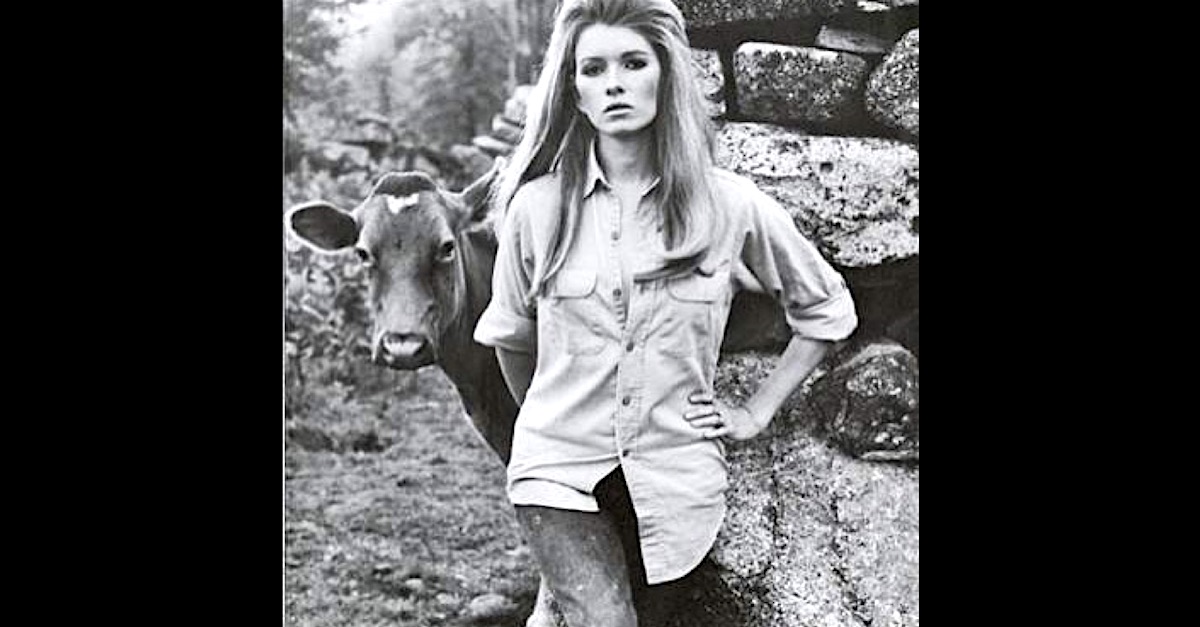 Martha Stewart Shares Throwback Modeling Photos | LittleThings.com