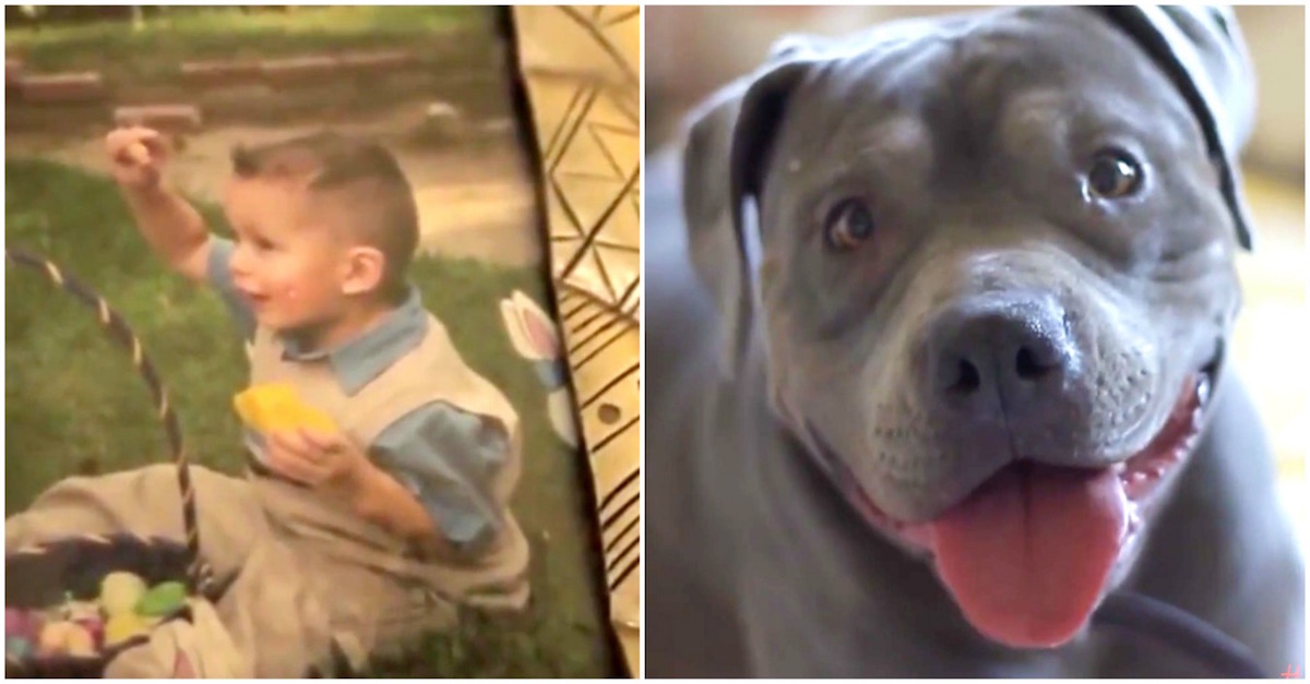 Mom's Autistic Son Had No Friends. Then She Adopts A Pit Bull, Sees Him ...