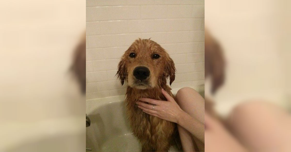 They Spot A Scrawny Dog Sitting In The Rain. Then They Find THIS In His ...