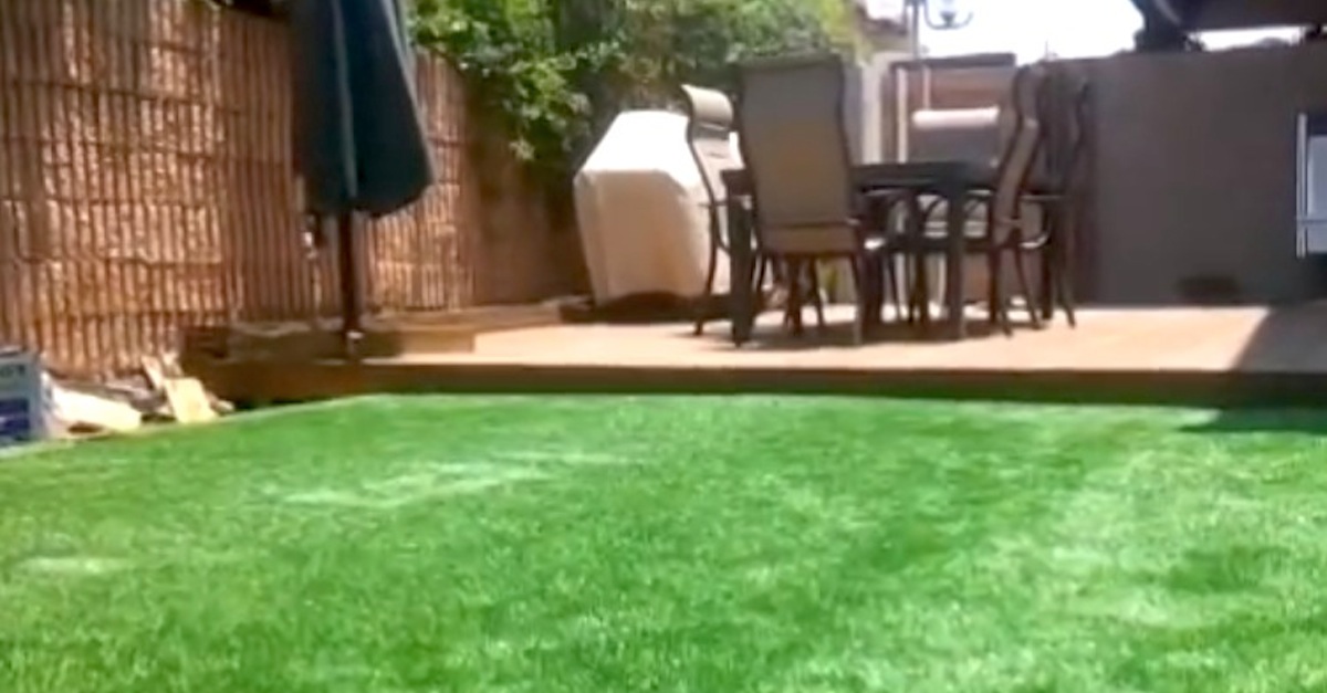 Look Closely! This Backyard Is Hiding An AWESOME Secret ...