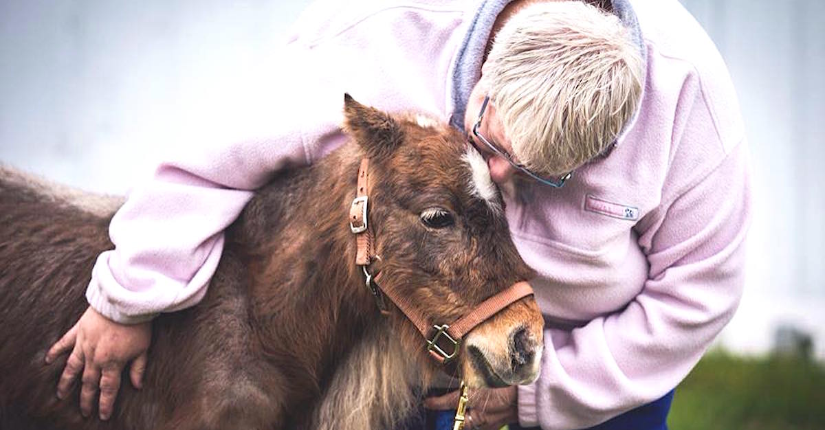 They Tried To Auction Off This Sick Foal. Now See Where She Brings Him ...