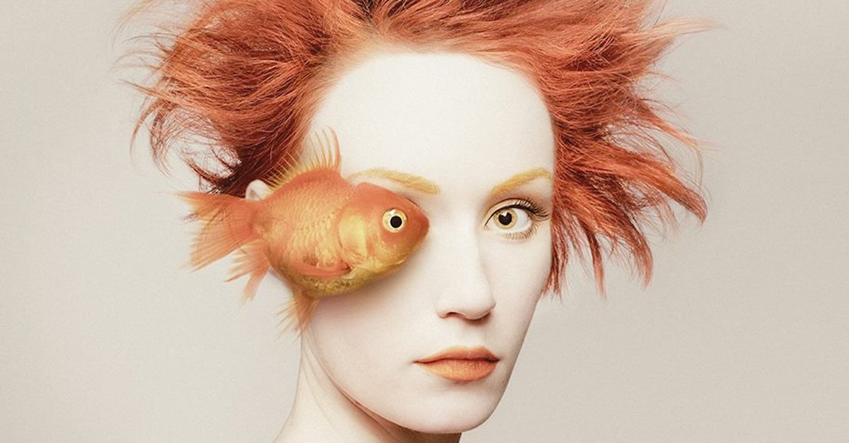 She Combines Human And Animals For The Most Stunning Portraits Ever ...
