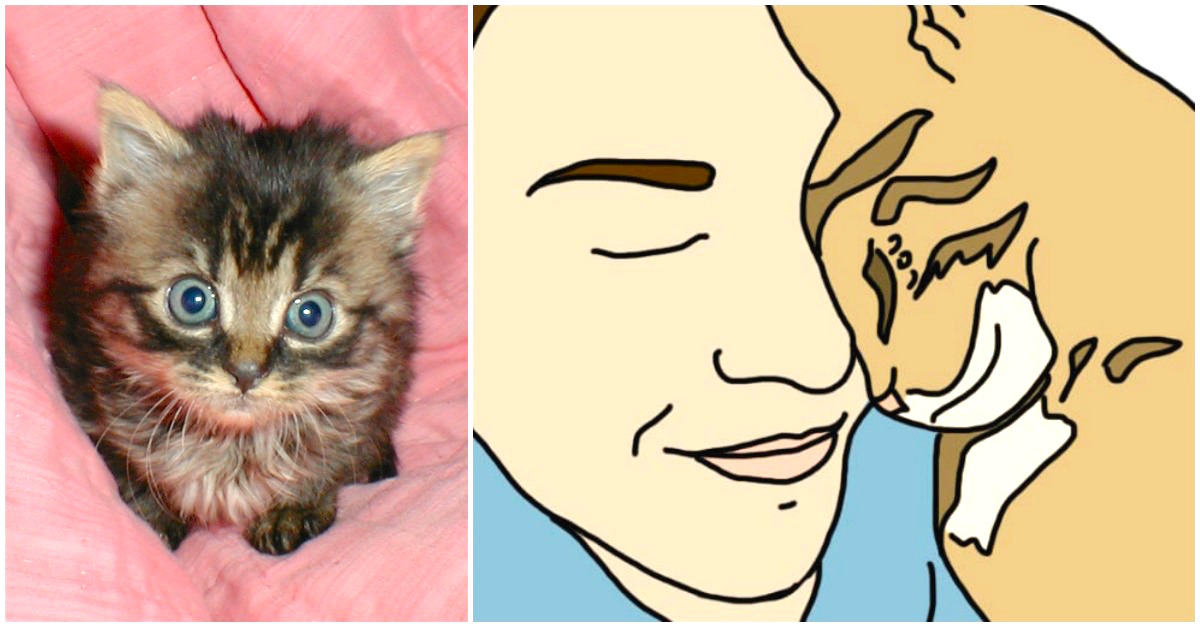 10 Sweet and Clever Ways That Cats Tell Us They Love Us | LittleThings.com