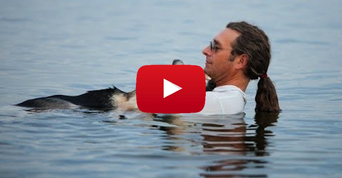What This Man Does Everyday For His Dying Dog Will Bring You To Tears ...