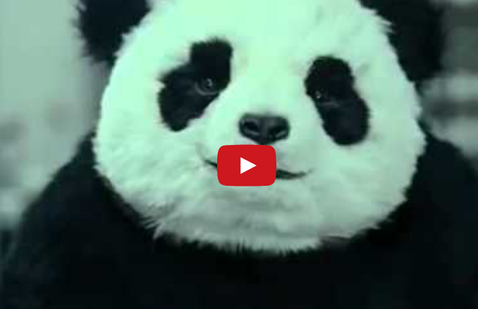 NEVER Say No To A Panda! (Funniest Commercials Ever Made ...