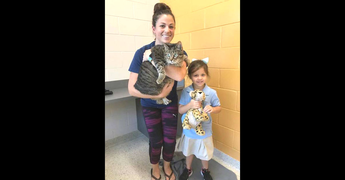 Family Drives 2 Hours To Adopt 24-Pound Rescue Cat | LittleThings.com