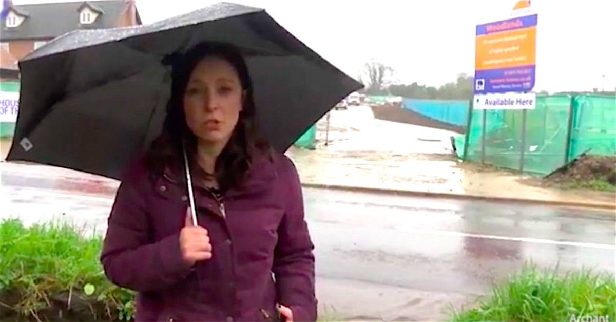 Reporter Gets Splashed With Huge Puddle On Camera | LittleThings.com