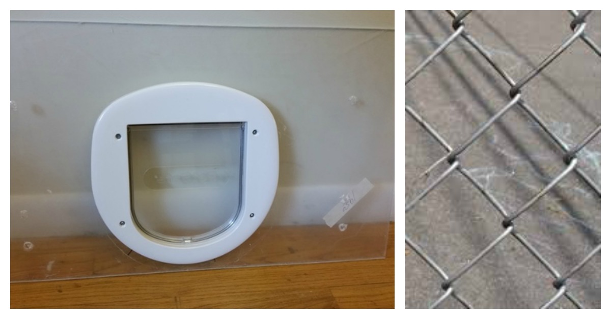 She Loved Her Cat So Much, She Decided To Build THIS In Her House ...