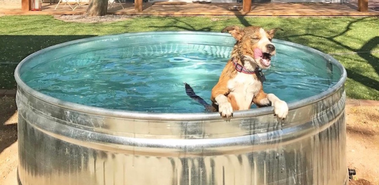 These Stock Tank Pools Are Perfect For Summer | LittleThings.com