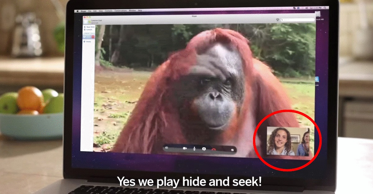 This Orangutan Uses Sign Language To Ask A Deaf Girl For Help...But ...