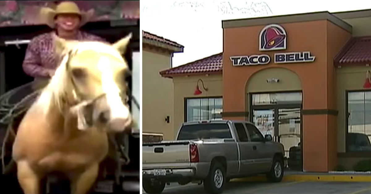 Cowboy Rides His Horse Right Into Taco Bell And Has The Whole Place ...