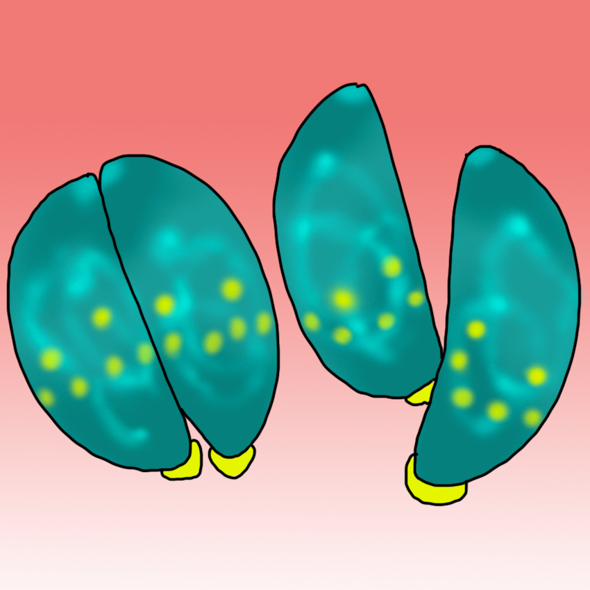 9 Parasites That Could Be Inside Your Right Now | LittleThings.com