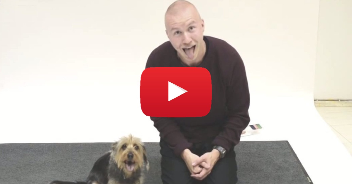 You Have To Watch My Dog's Reaction To A Human Impersonating His Bark ...