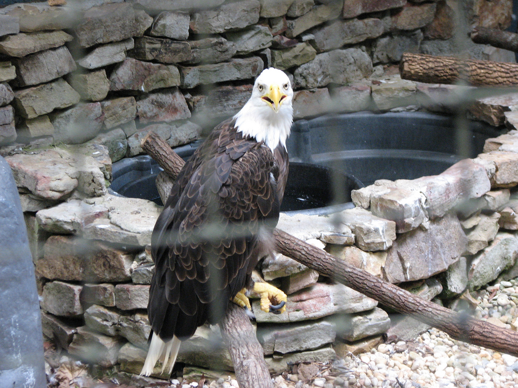 Dollywood Facts You Don't Know About This Amusement Park | LittleThings.com