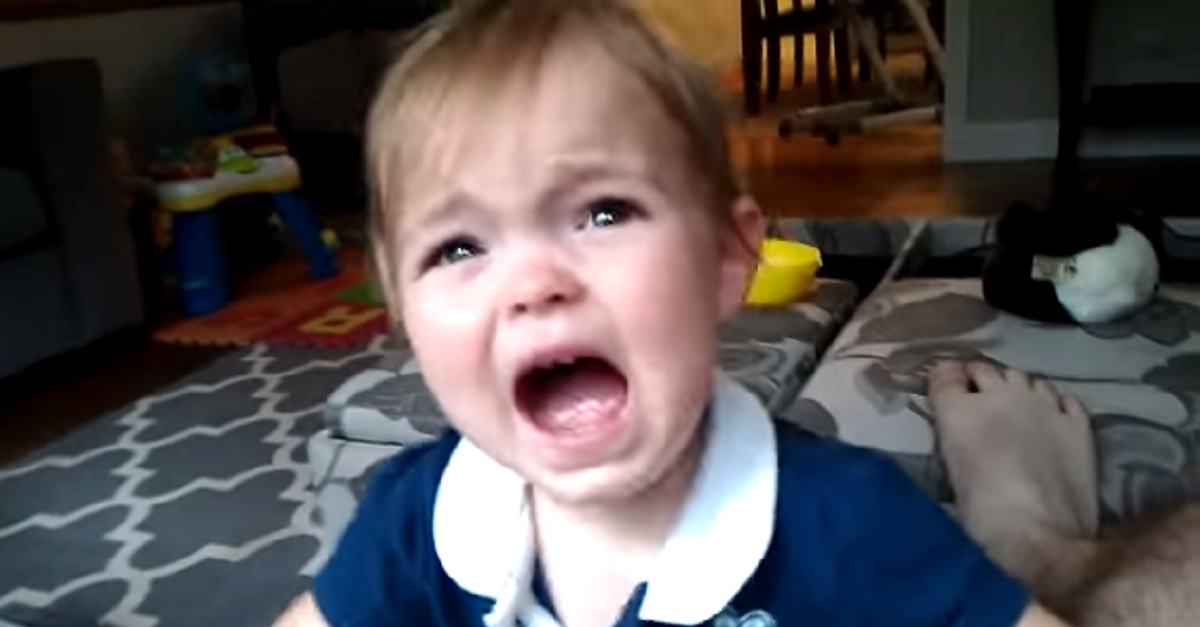 This Baby Might Be Crying, But When You See Why, You'll Crack Up ...