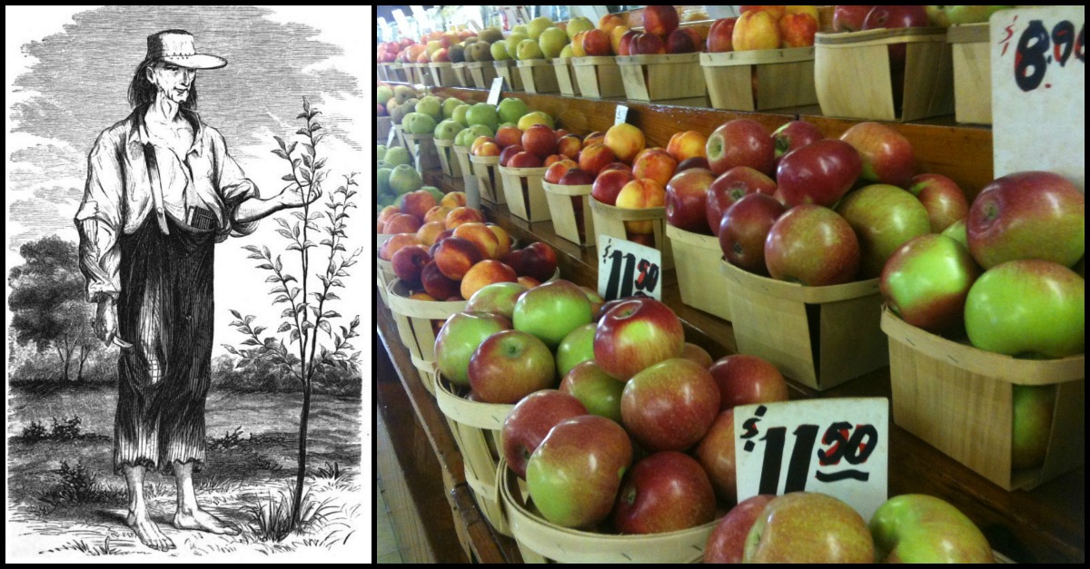 You've Heard Of American Legend Johnny Appleseed, But Who Was He Really ...