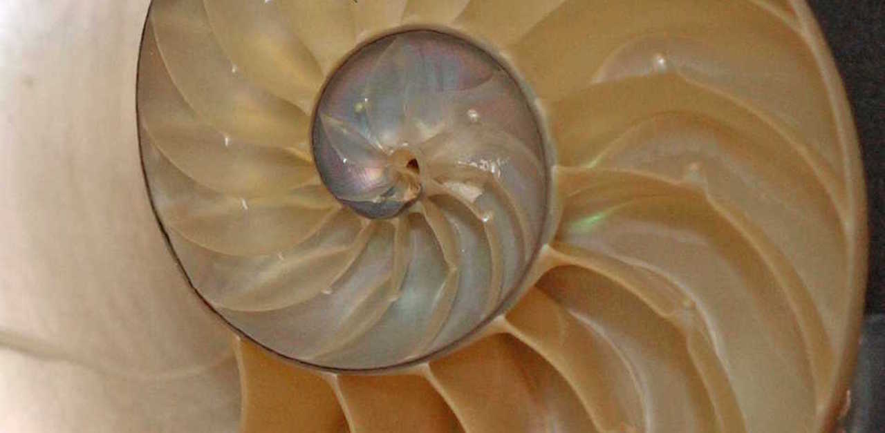 An Incredible Look At The Insides Of 14 Sliced-Open Items ...