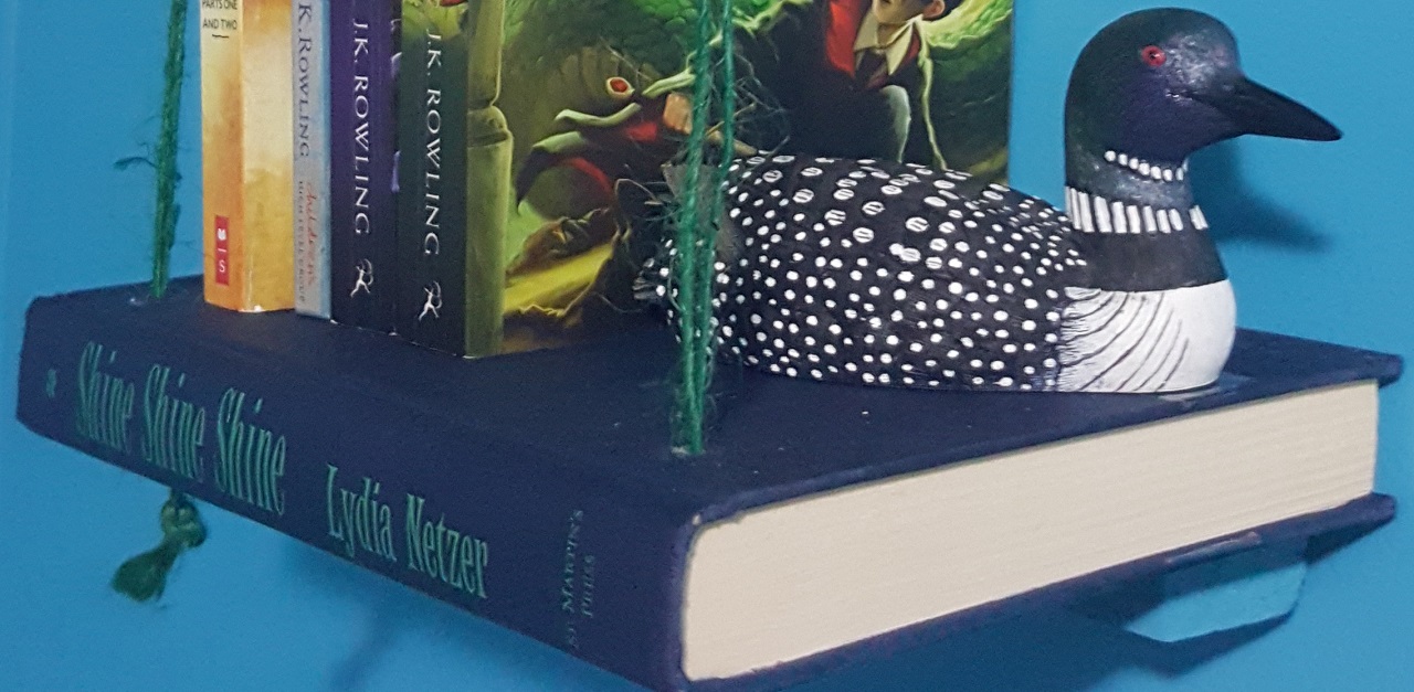 I Made Bookshelves Out Of Books And Adore The DIY Decor | LittleThings.com