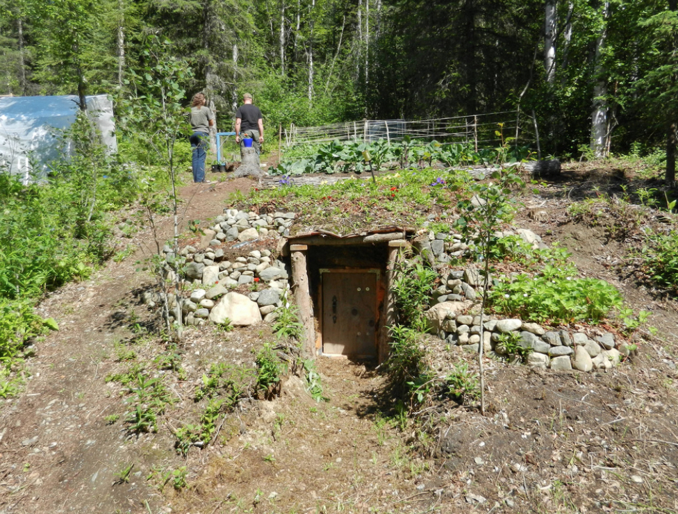 The Unbelievable Reasons Why You Need To Create Your Own DIY Backyard ...