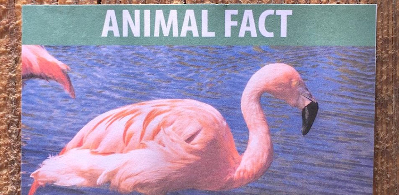 These Signs Hang All Over The L.A. Zoo. When I Read The Fine Print ...