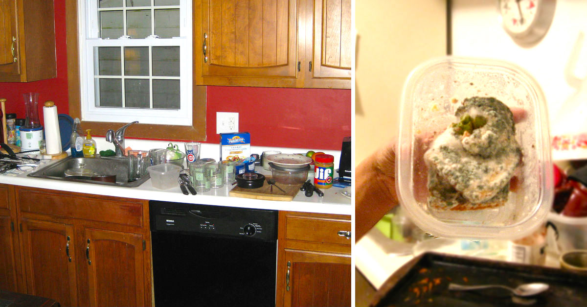9 Secret Hiding Spots Where Horrible Mold Could Be Lurking In Your ...