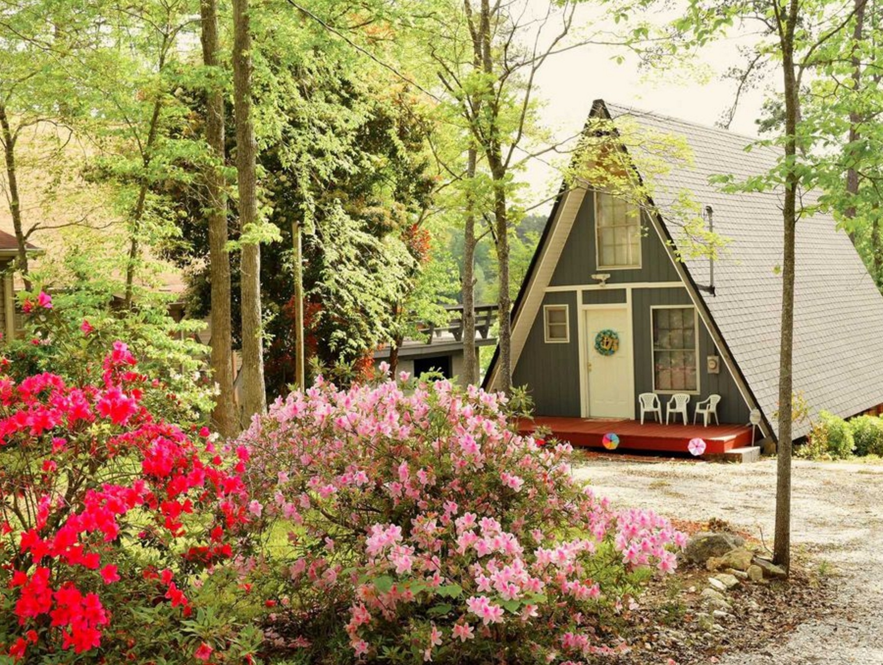 Triangle House Has Stunning Views And Open Interior | LittleThings.com