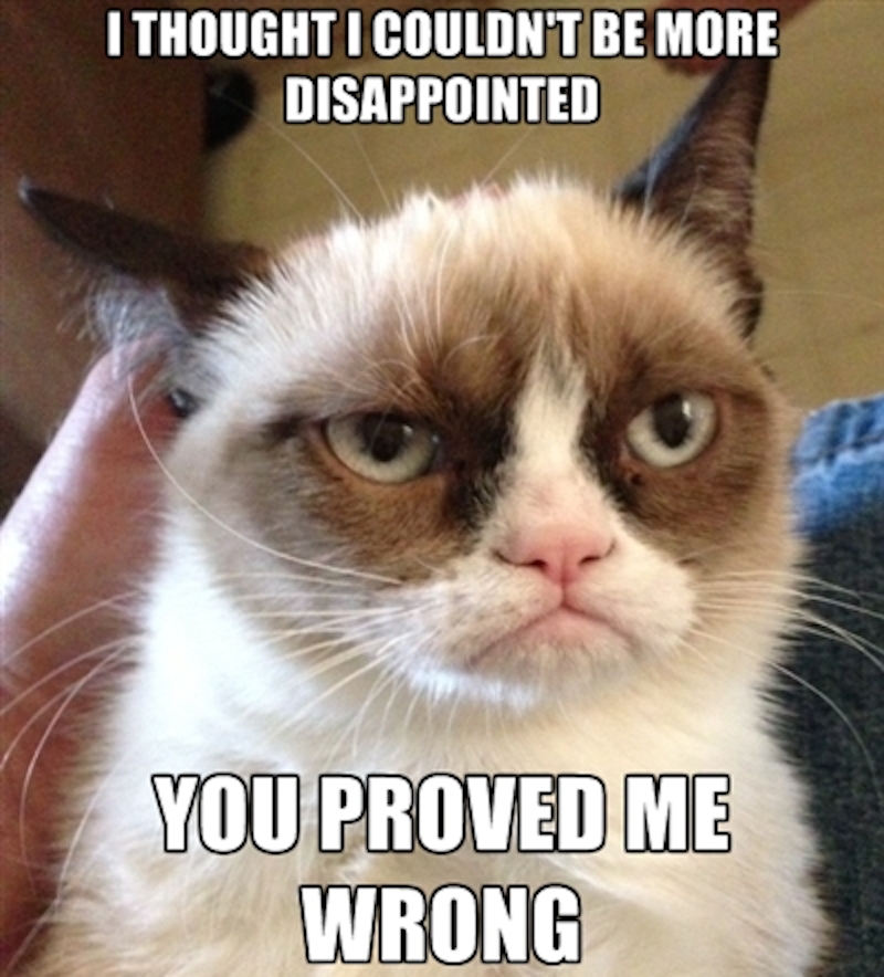 Strangely Enough, The World's 'Grumpiest' Cat Will Give You Something ...