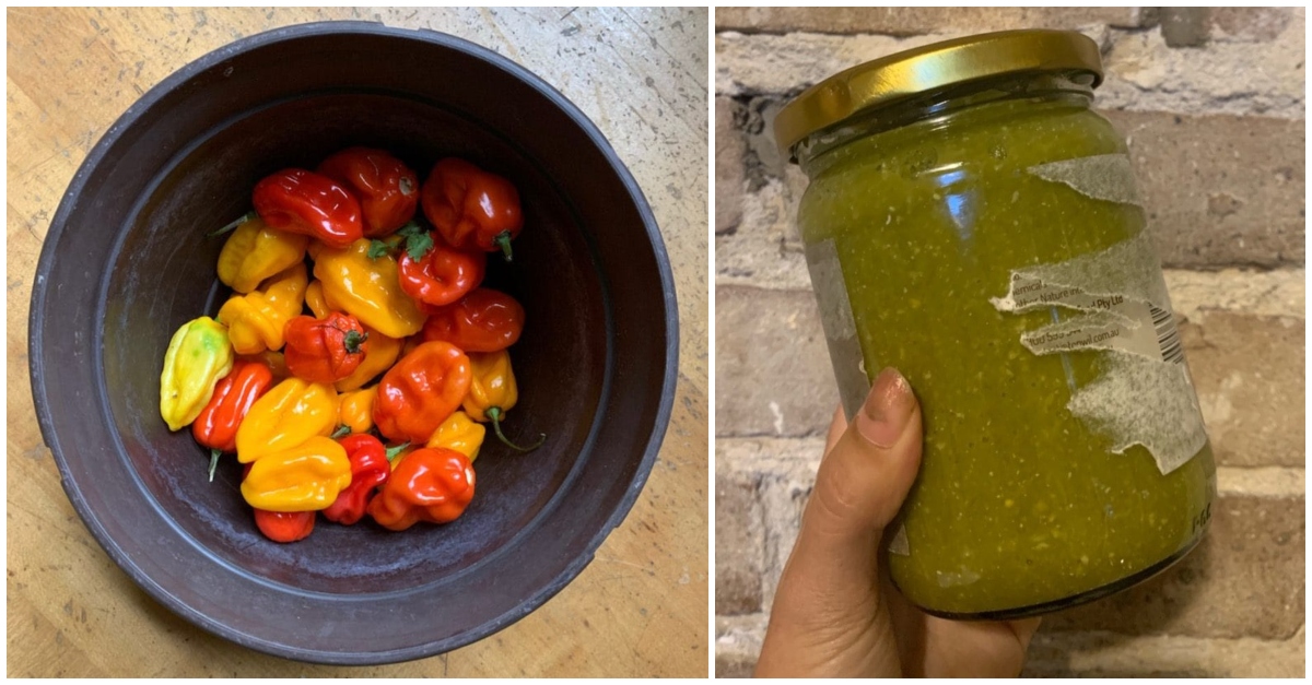 How To Make DIY Hot Sauce From Scratch With 4 Ingredients ...