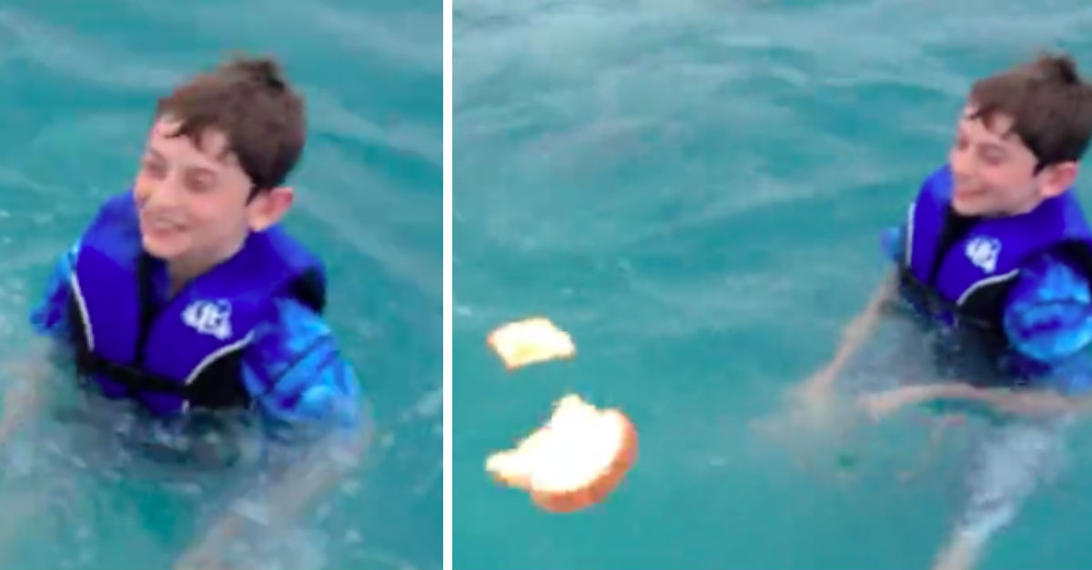 Little Boy Swims With The Fish | LittleThings.com