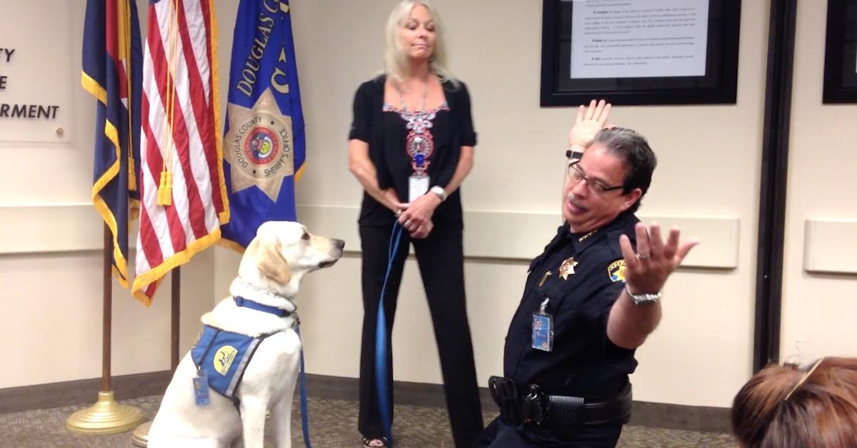 He Swears In A New Police Dog. But When He Does THIS? Hilarious ...