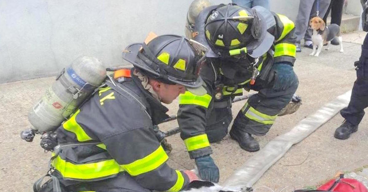 2 Firefighters Kneel To Perform CPR. When The Camera Pans Down? WOW ...